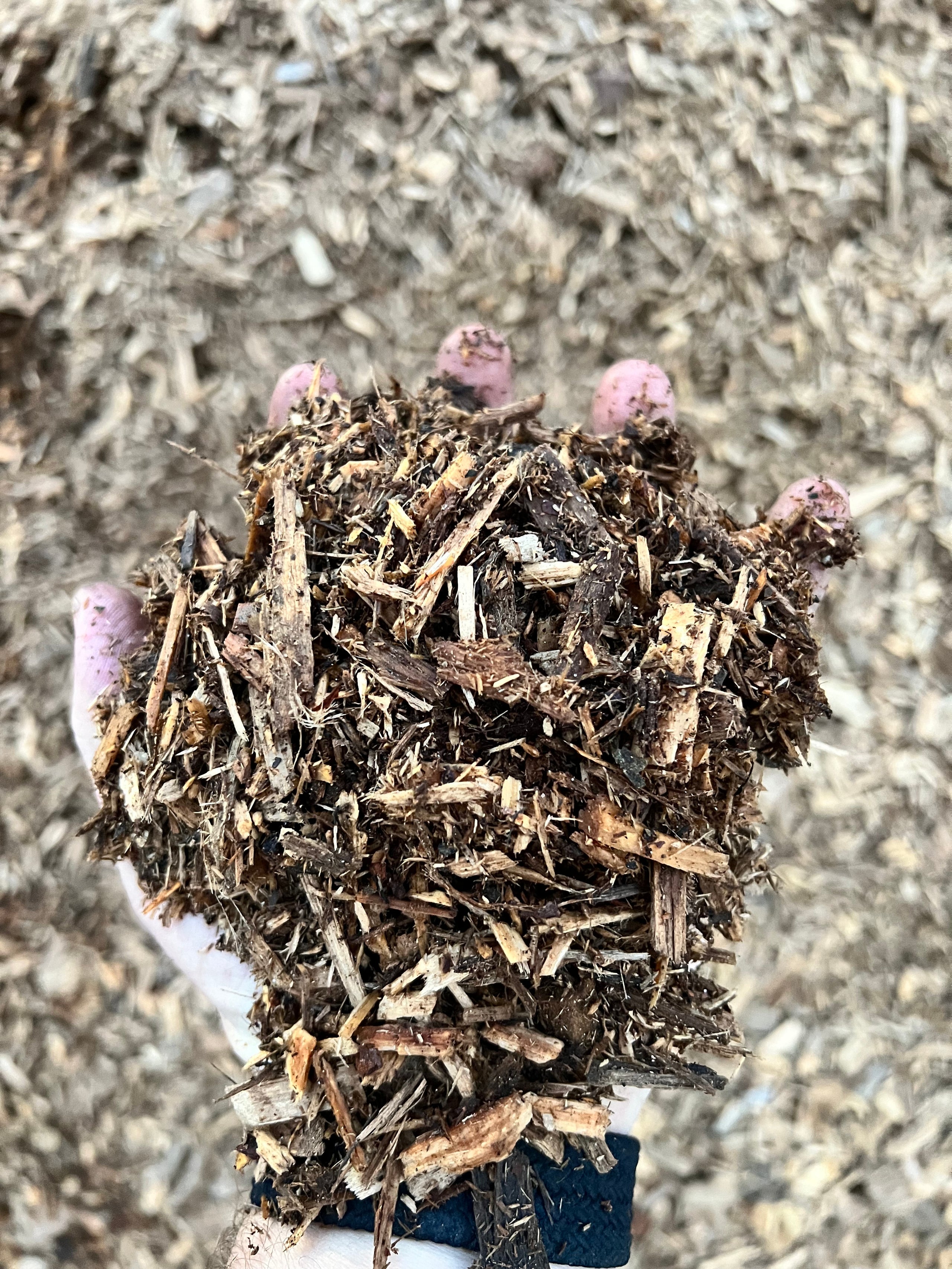Ipema Certified Playground Chips Mulch Solutions